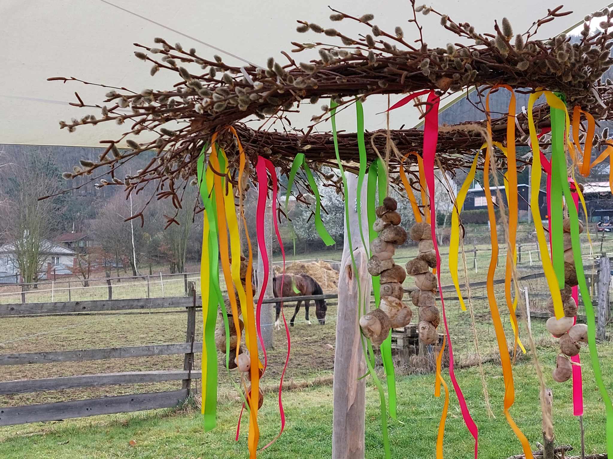 Jeden Strom LMŠ společně na Dvorečku Jeden Strom