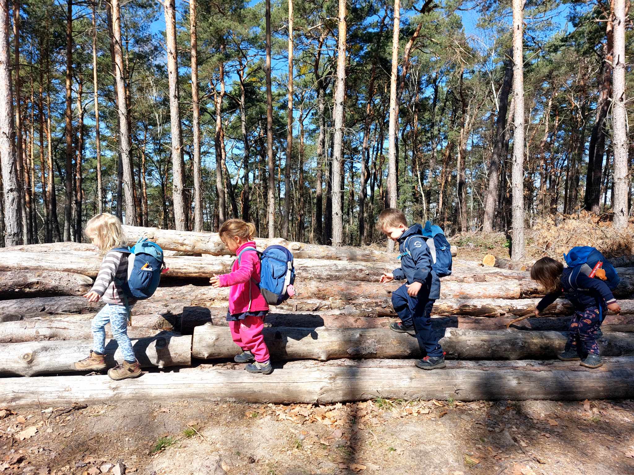 Jeden Strom Jarní putování Jeden Strom