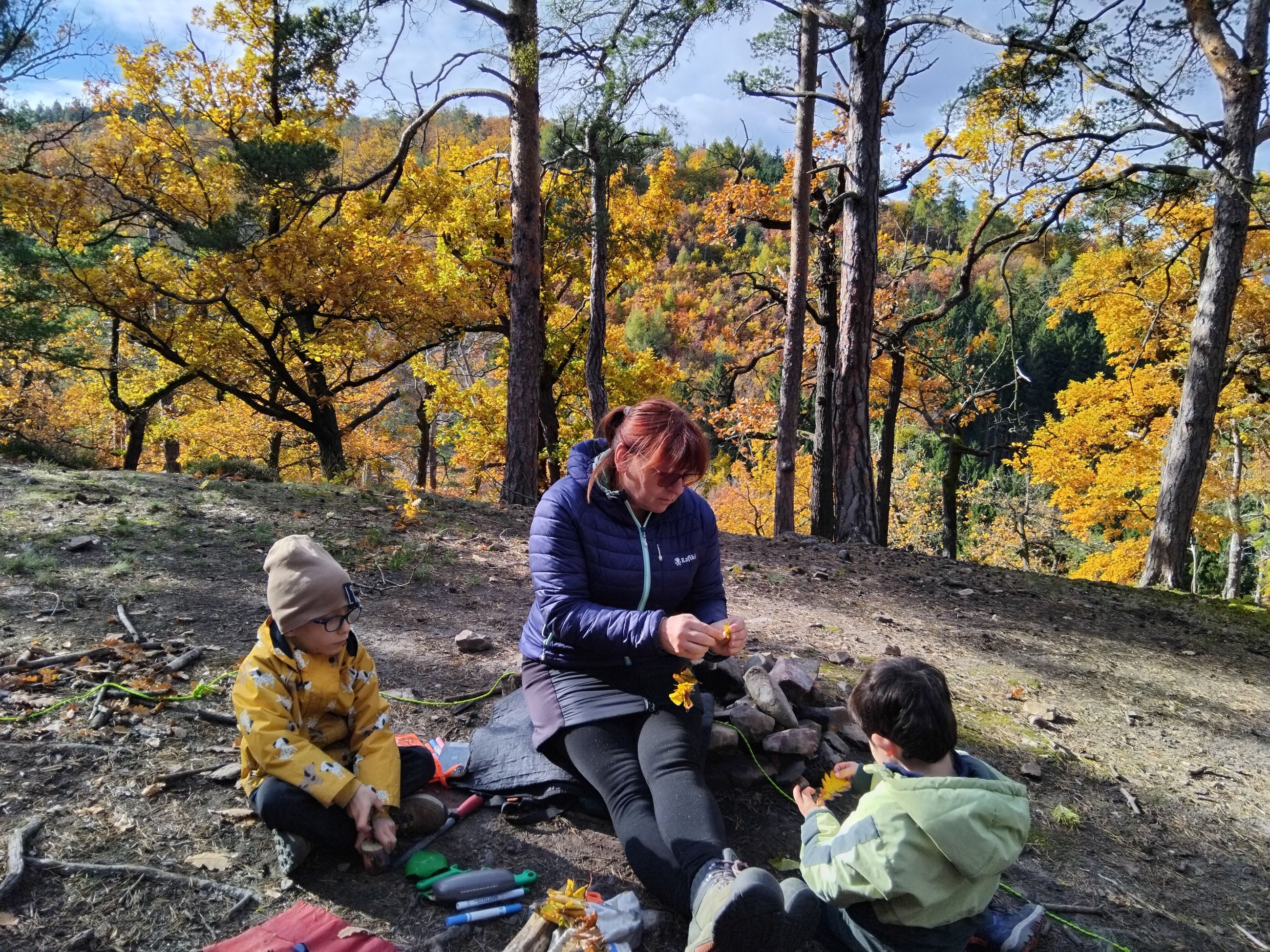 Jeden Strom Dušičky Jeden Strom